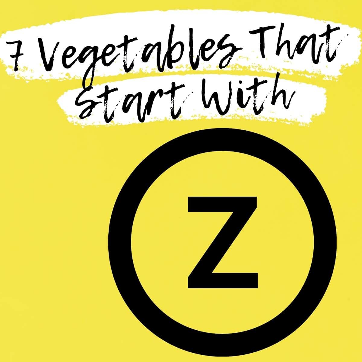 7 Vegetables That Start With Z Recipefairy 7 Vegetables That Start With Z Recipefairy